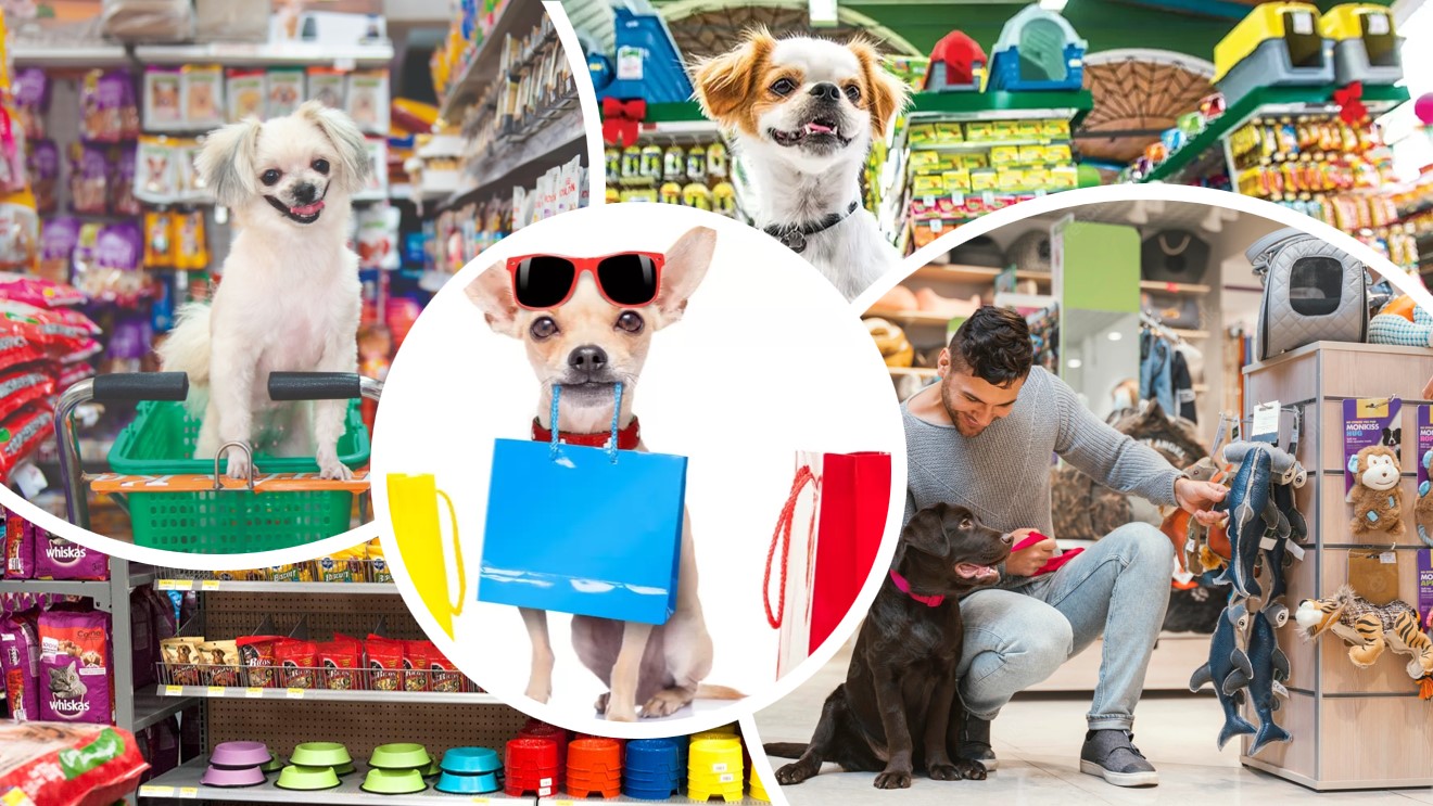 Pet Retail (mascotas) | Cursos de comercio